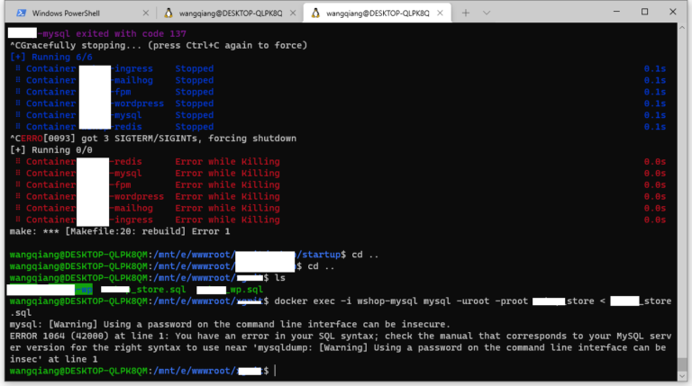 执行命令：docker exec -i object-mysql mysql -uroot -proot object_store