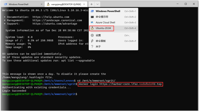 执行命令：docker login 时，报错：/usr/bin/docker-credential-desktop.exe: Invalid argument Error saving ...