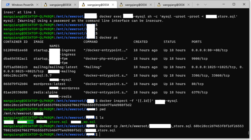 执行命令：docker exec -i object-mysql mysql -uroot -proot object_store
